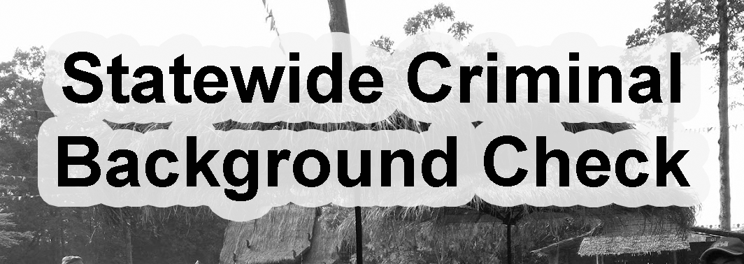 Statewide Criminal Background Check - State Record Search